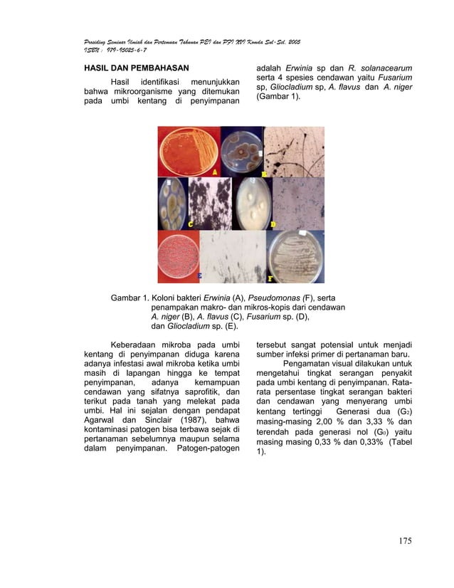 29. isolasi-dan-identifikasi-mikroba-t.-kuswinanti | DOC