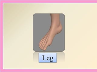Play Group English (Parts of Body 1) | PPT