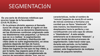 embriologia cardiaca del corazon barinas | PPTX