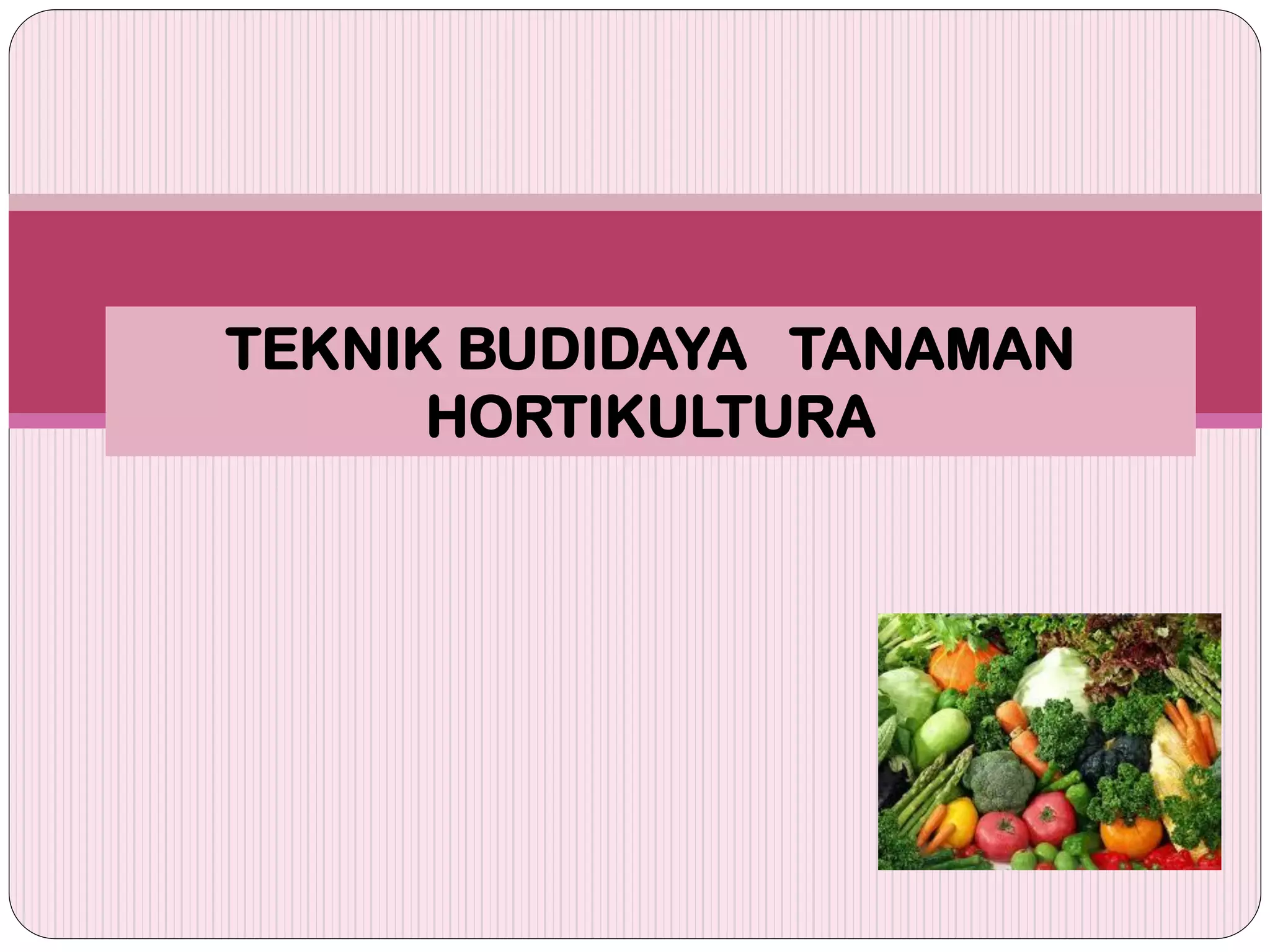 290158421 budidaya-tanaman-hortikultura | PDF