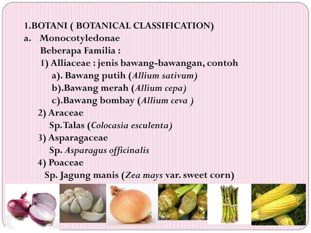 290158421 budidaya-tanaman-hortikultura | PDF