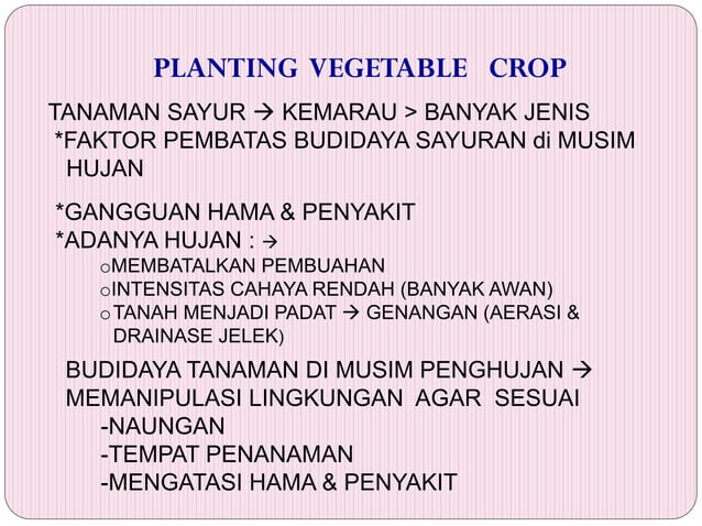 290158421 budidaya-tanaman-hortikultura | PDF