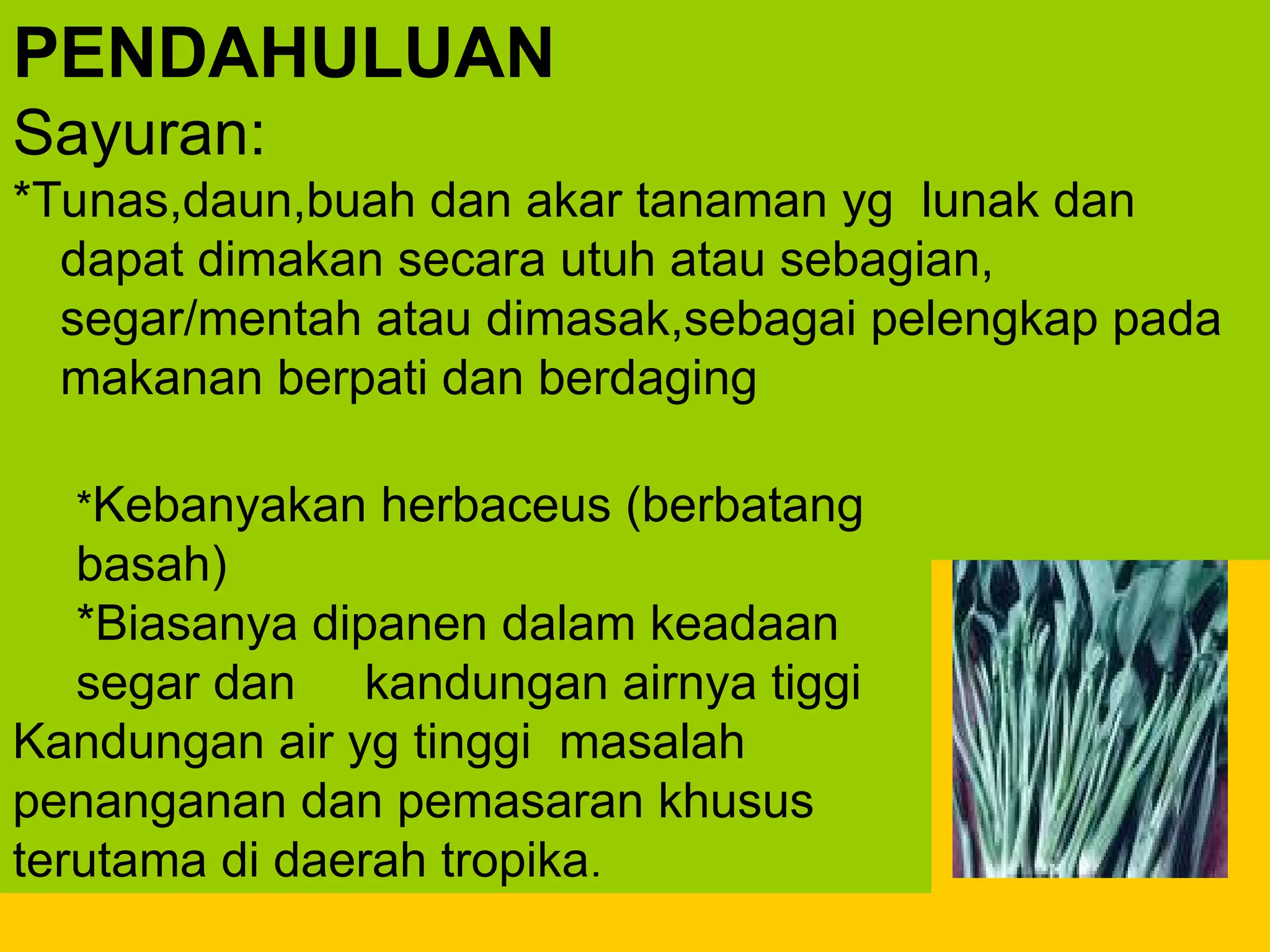 budidaya tanaman sayuran kelas Xi SMK smk | PPT