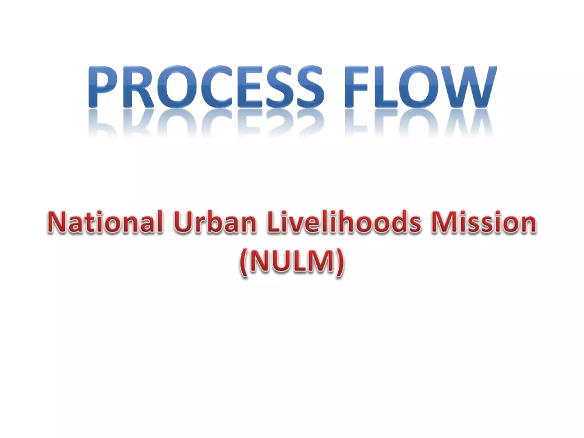 NULM Process Flow Chart PPT | PPTX