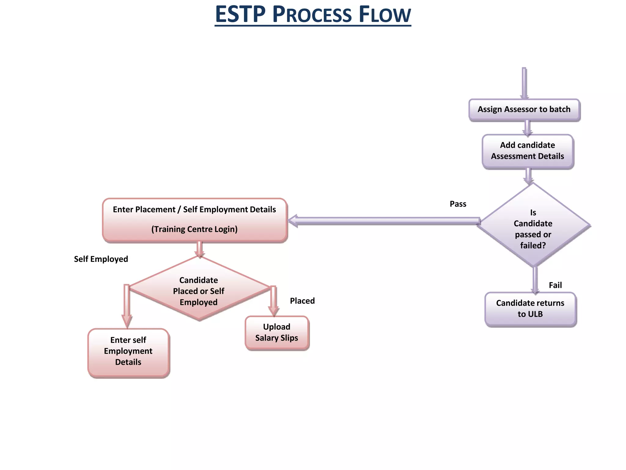 NULM Process Flow Chart PPT | PPTX