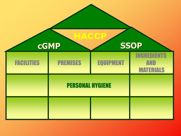 29045505-GMP-SSOP.ppt