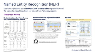 Automated and Explainable Deep Learning for Clinical Language Understanding at Roche | PPT