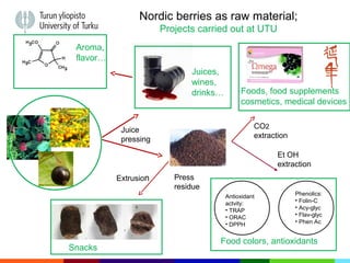 Health effects and special features of Nordic berries and birch sap ...