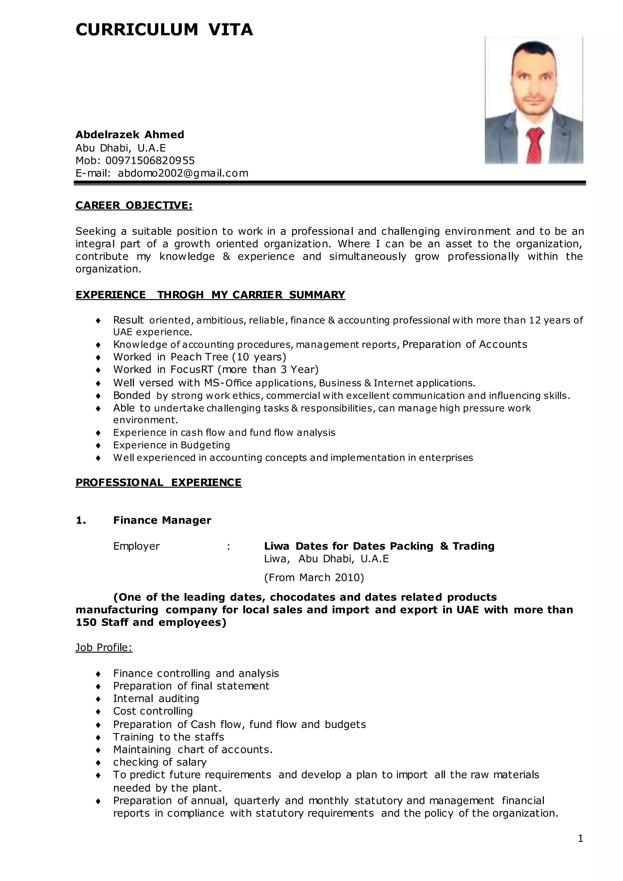 Abdel Razik CV | DOCX | Business Accounting & Finance | Business
