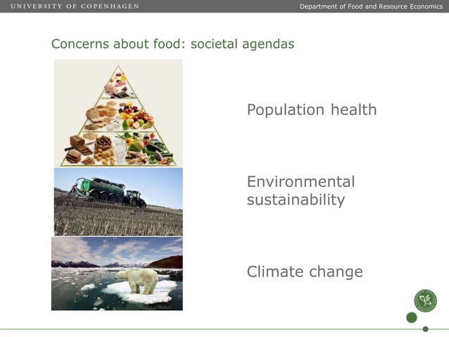 Food in modern everyday life: meanings, practices and concerns - Lotte ...