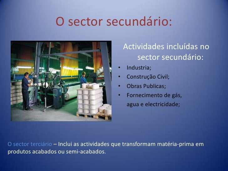 Setores de Atividade