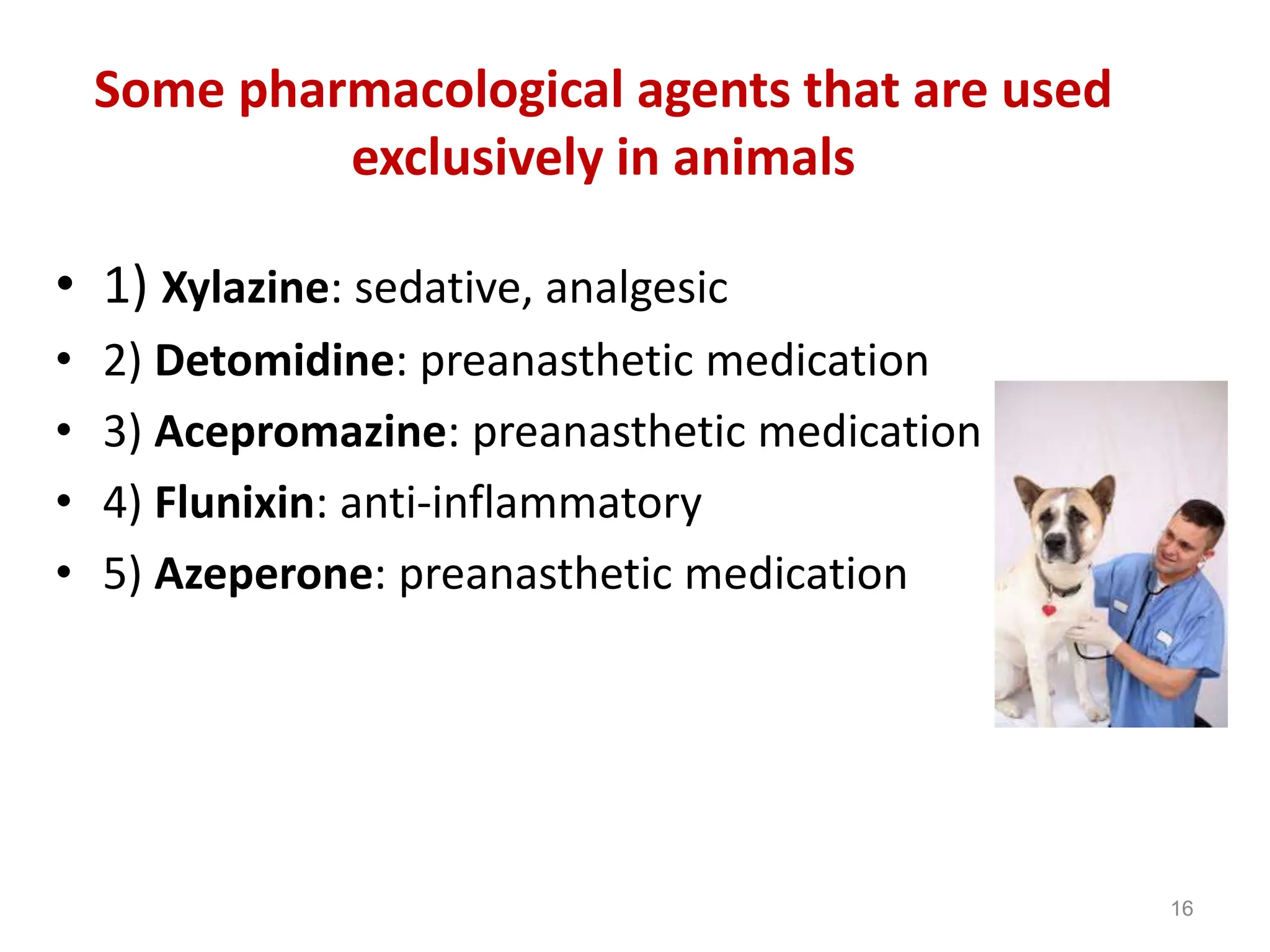 Pharmacology of Animals-Veterinary-Dosage-Forms.ppt