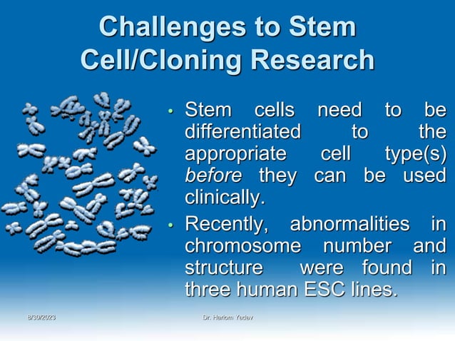 29141.ppt stem cell technology | PPT