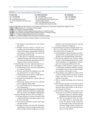 Chemotherapy And Immunotherapy Guidelines And Recommendations For ...