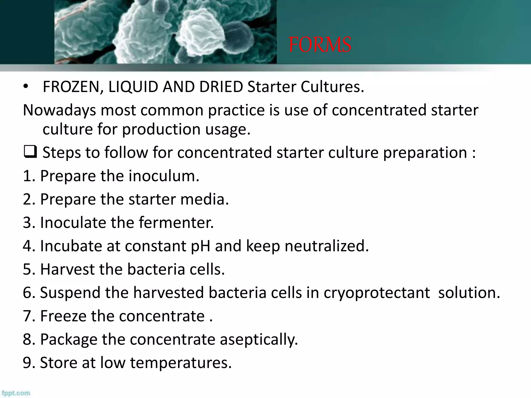 Starter Culture | PPTX