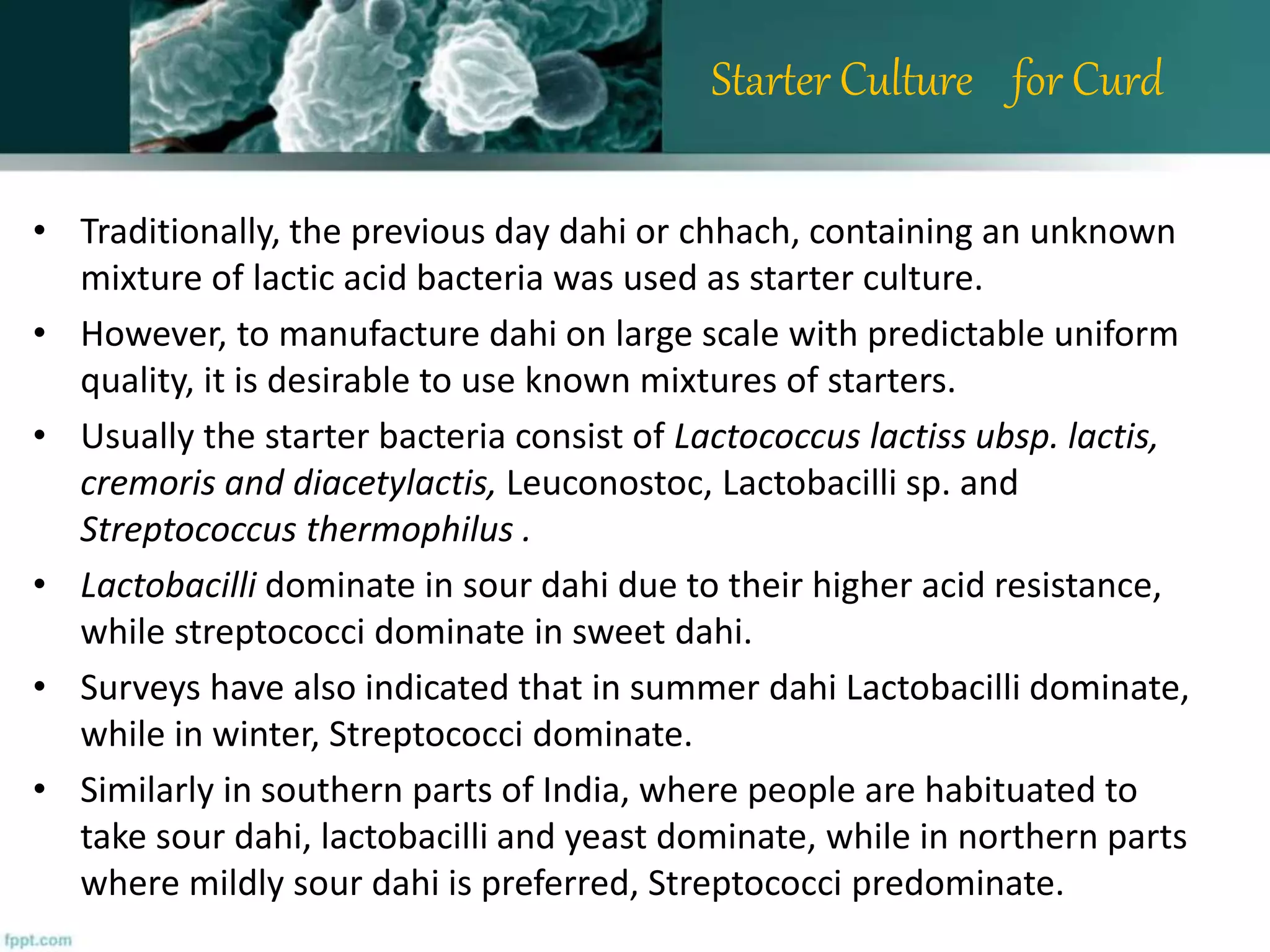 Starter Culture | PPTX