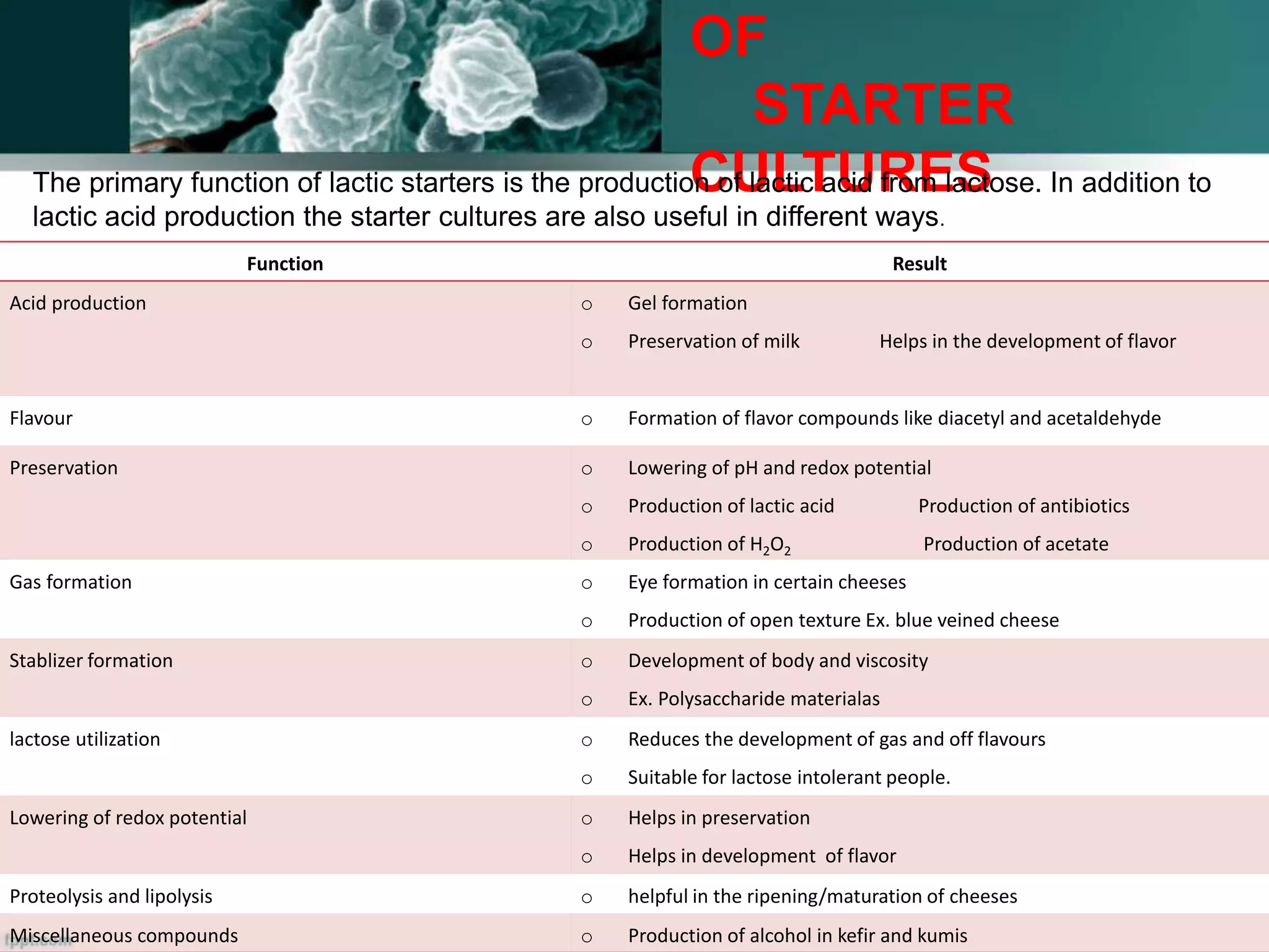 Starter Culture | PPTX