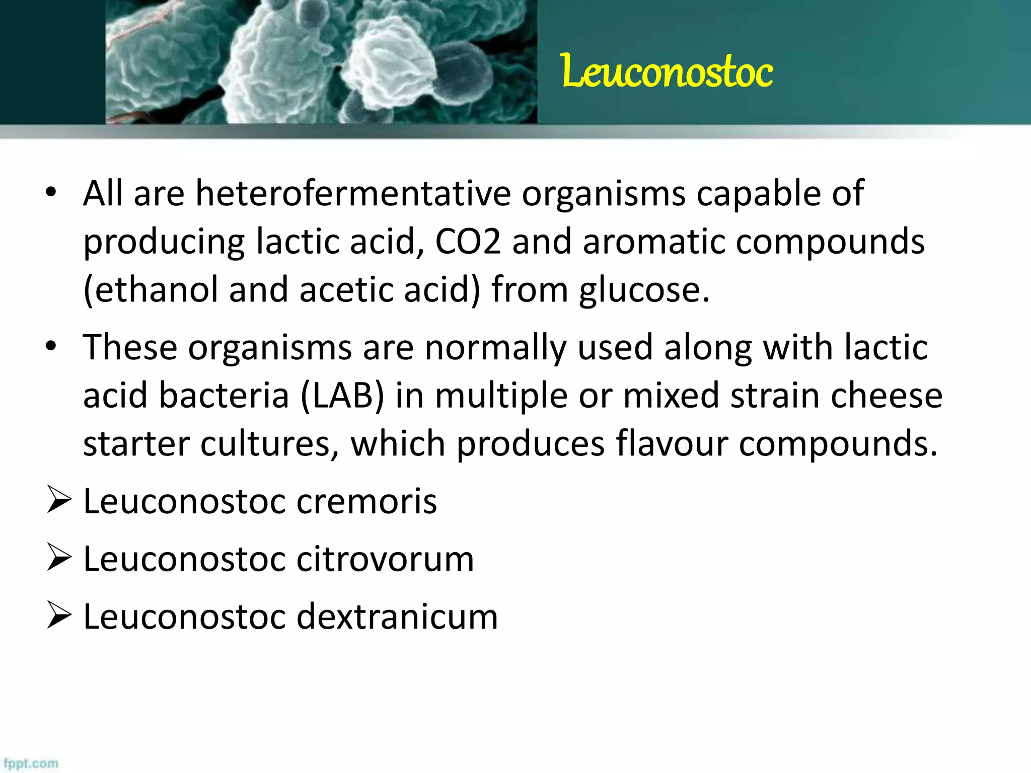 Starter Culture | PPTX