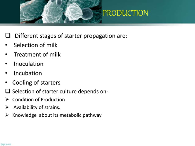 Starter Culture | PPTX | Chemistry | Science