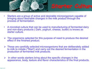 Starter Culture | PPTX