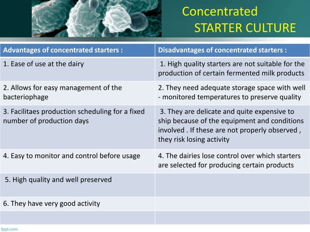 Starter Culture | PPTX | Chemistry | Science