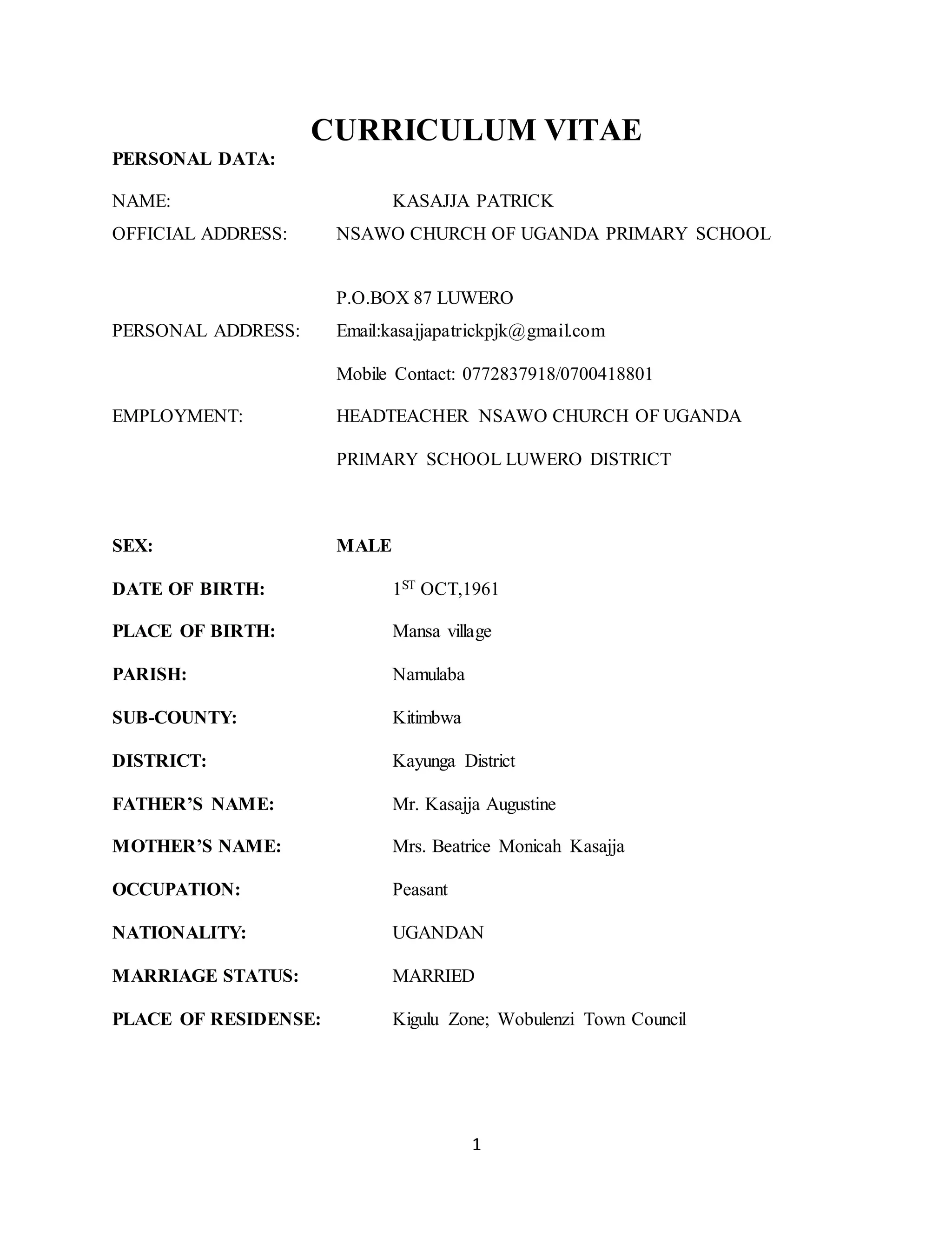 CURRICULUM VITA2 | DOCX