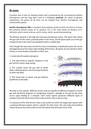 294196410-investigatoy-project-on-application-of-biotechnology.docx