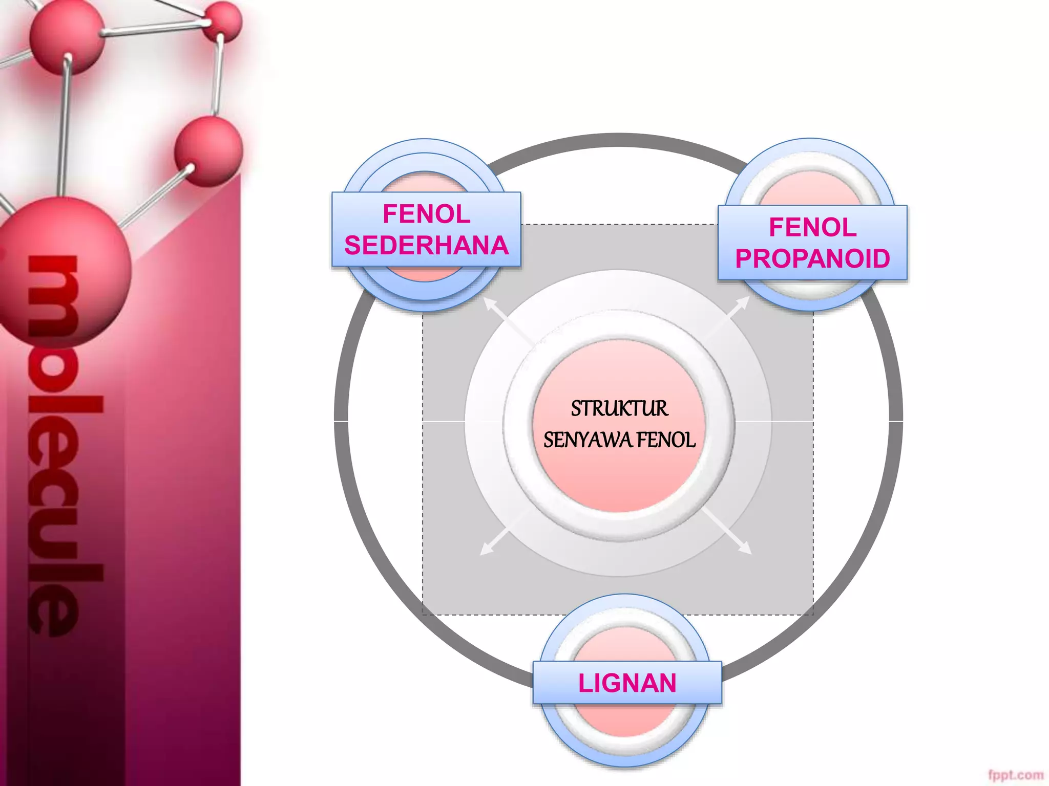 IIDENTIFIKASI KUALITATIF DAN KUANTITATIF SENYAWA FENOL | PPTX