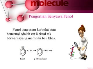 IIDENTIFIKASI KUALITATIF DAN KUANTITATIF SENYAWA FENOL | PPTX