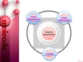 IIDENTIFIKASI KUALITATIF DAN KUANTITATIF SENYAWA FENOL | PPTX