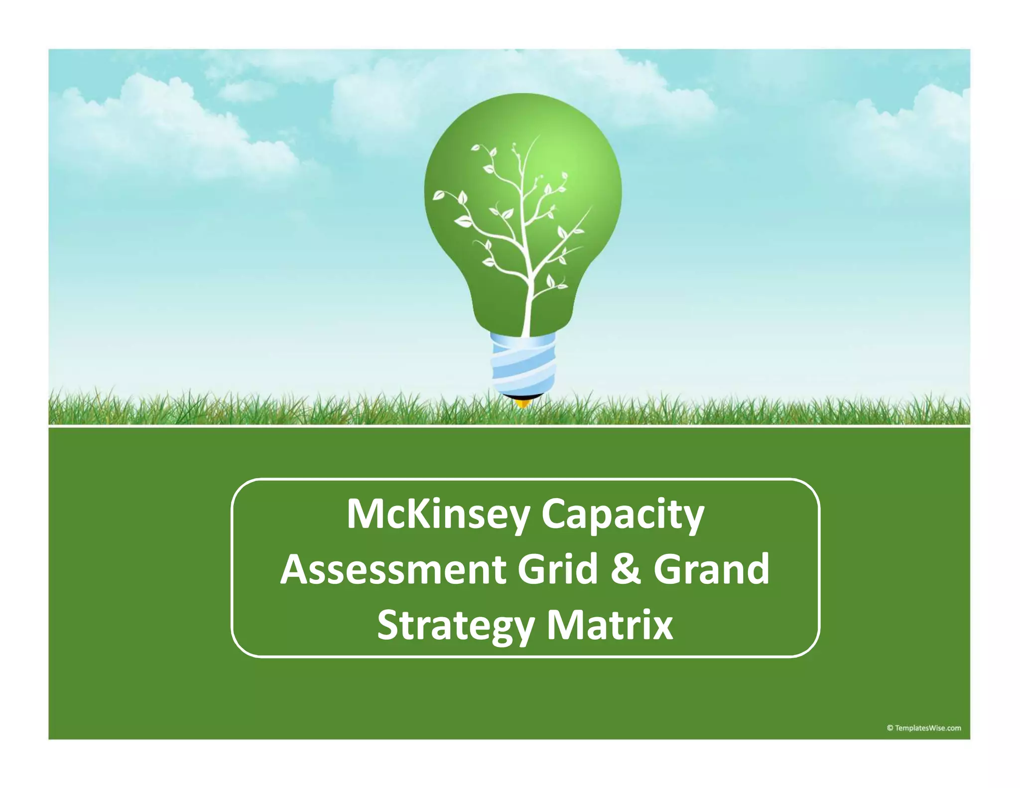 29433934 mckinsey | PDF
