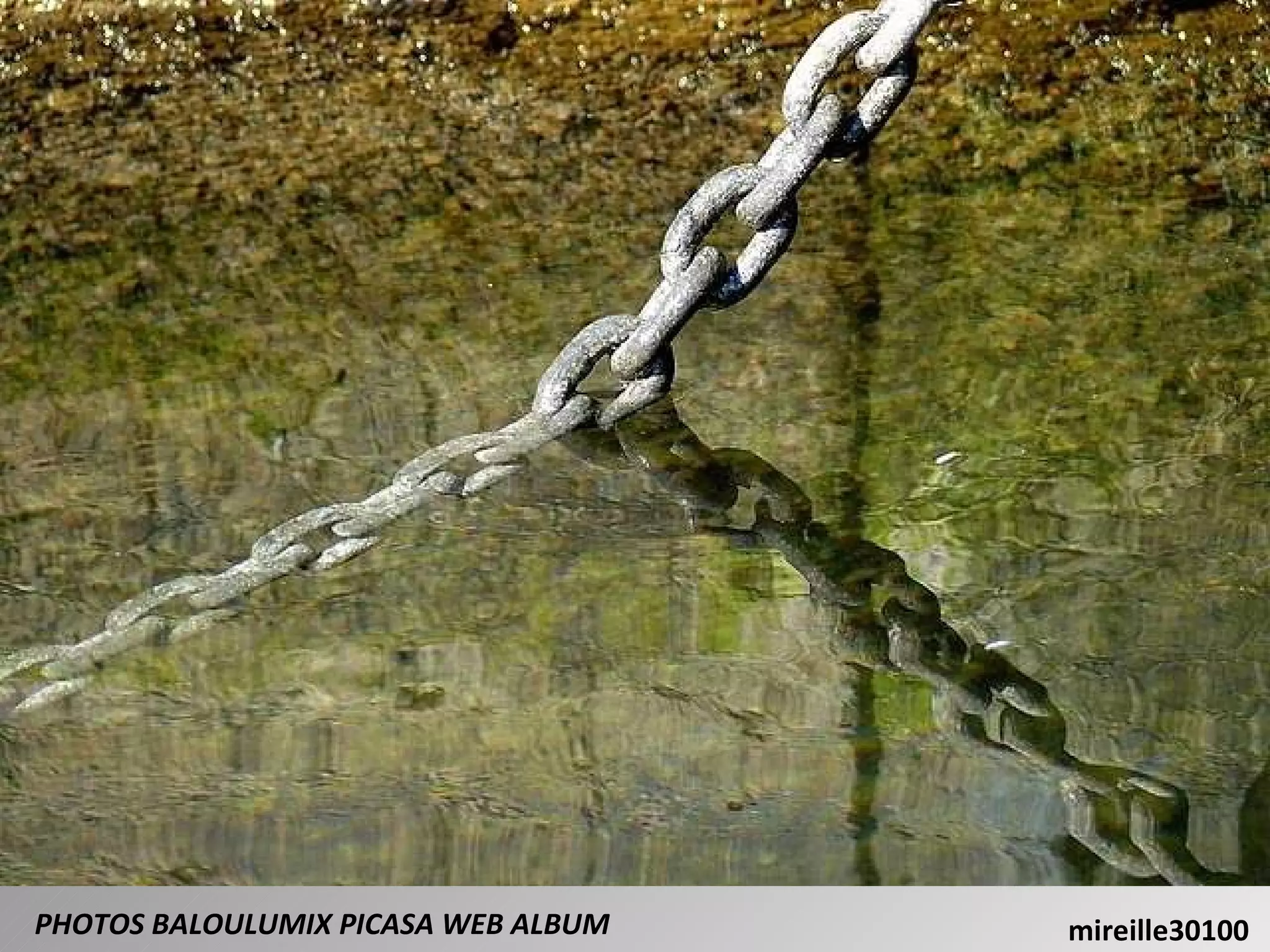 295 - Abstraction | PPS