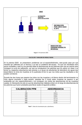 Informe-Dqo-y-Dbo.doc