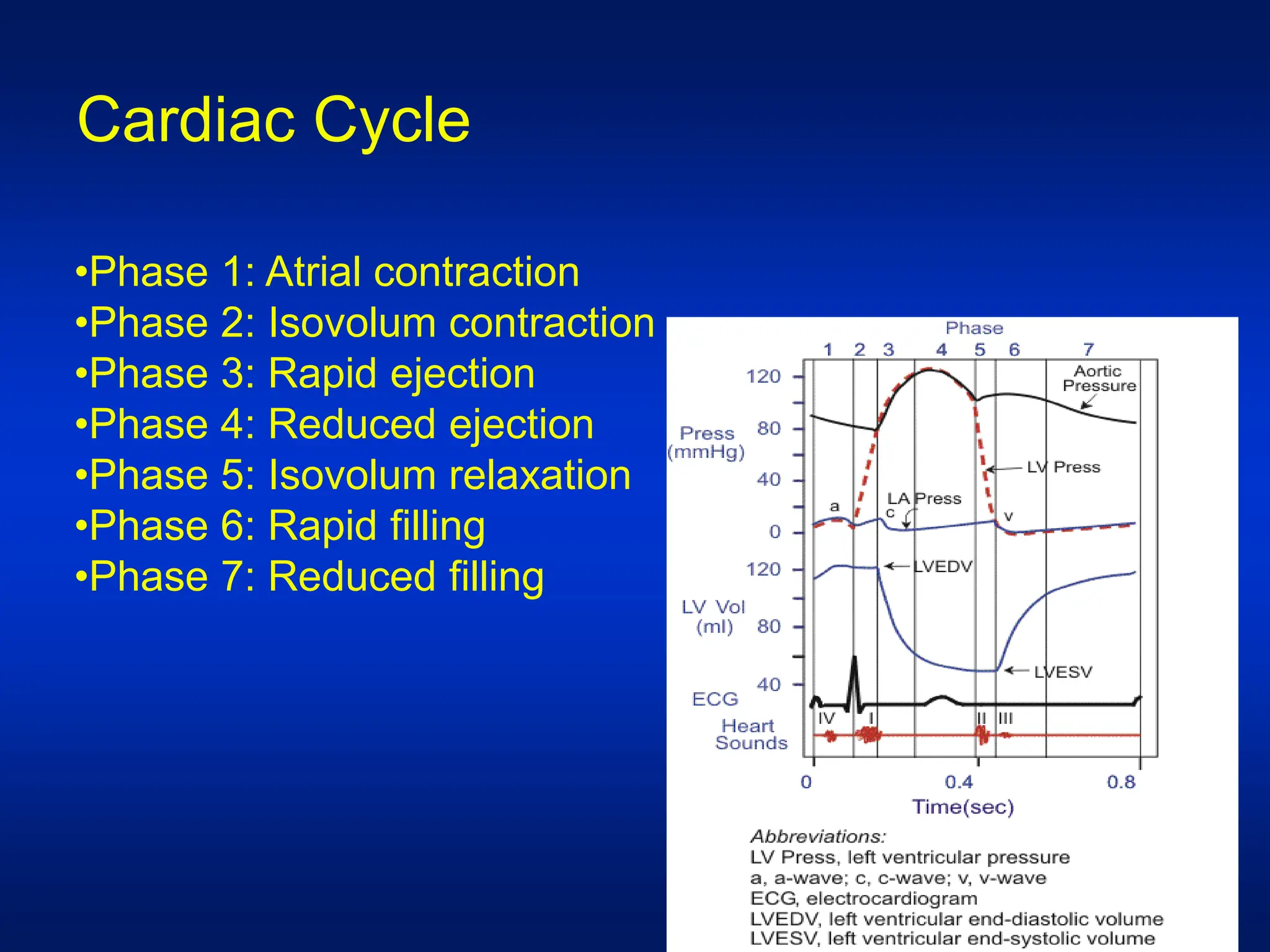 29624_Cardiac Output and hemodynamic measurement.ppt
