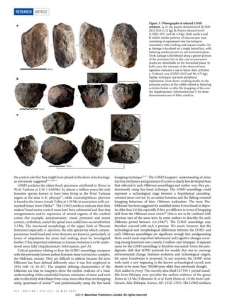 3.3-million-year-old stone tools from Lomekwi 3, West Turkana, Kenya | PDF