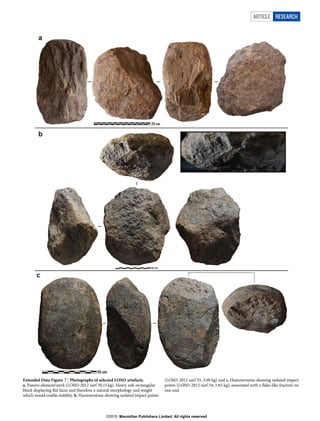 3.3-million-year-old stone tools from Lomekwi 3, West Turkana, Kenya