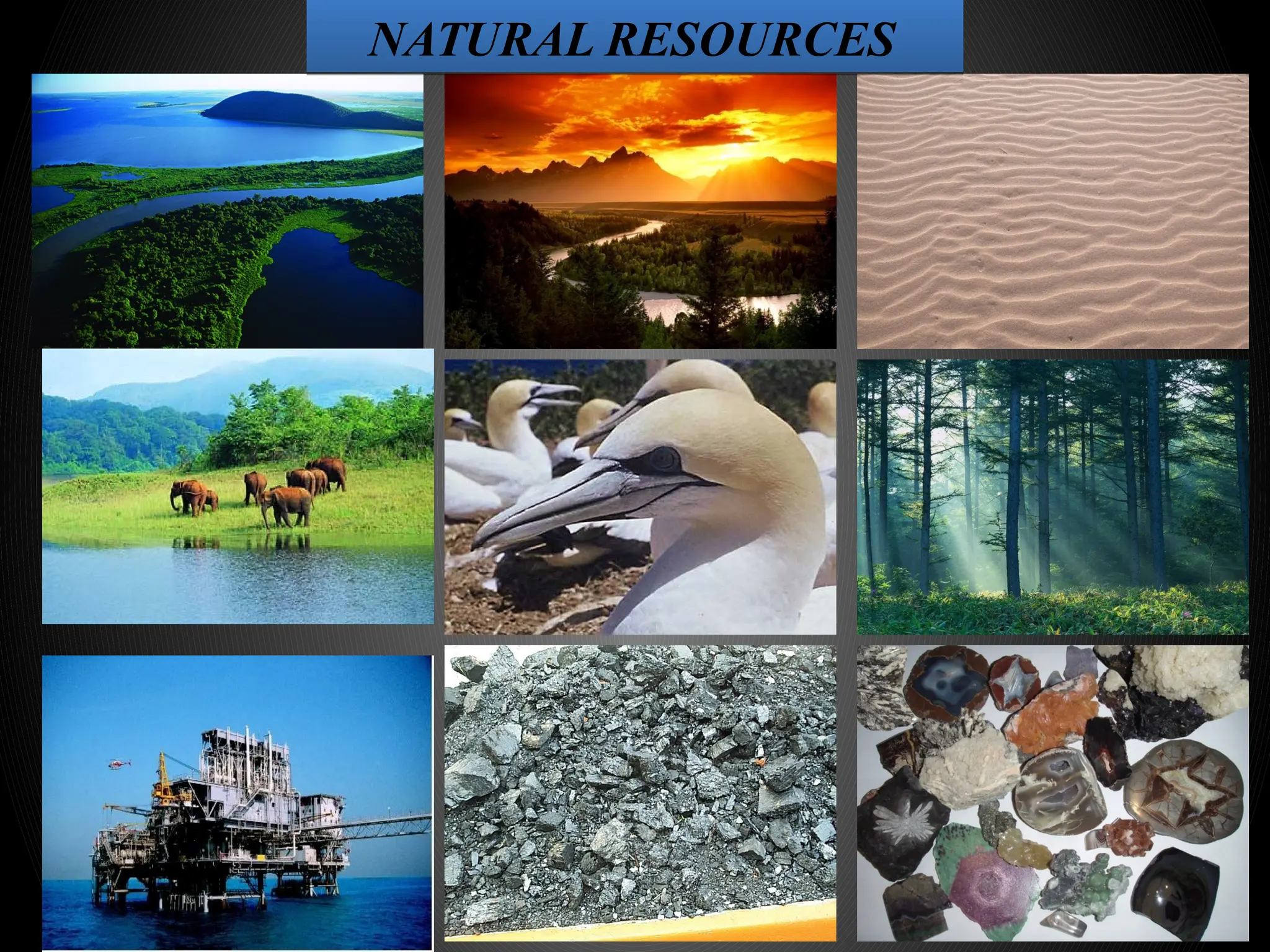 297952540-Conservation-of-Natural-Resources.pdf