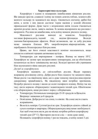 298 | PDF