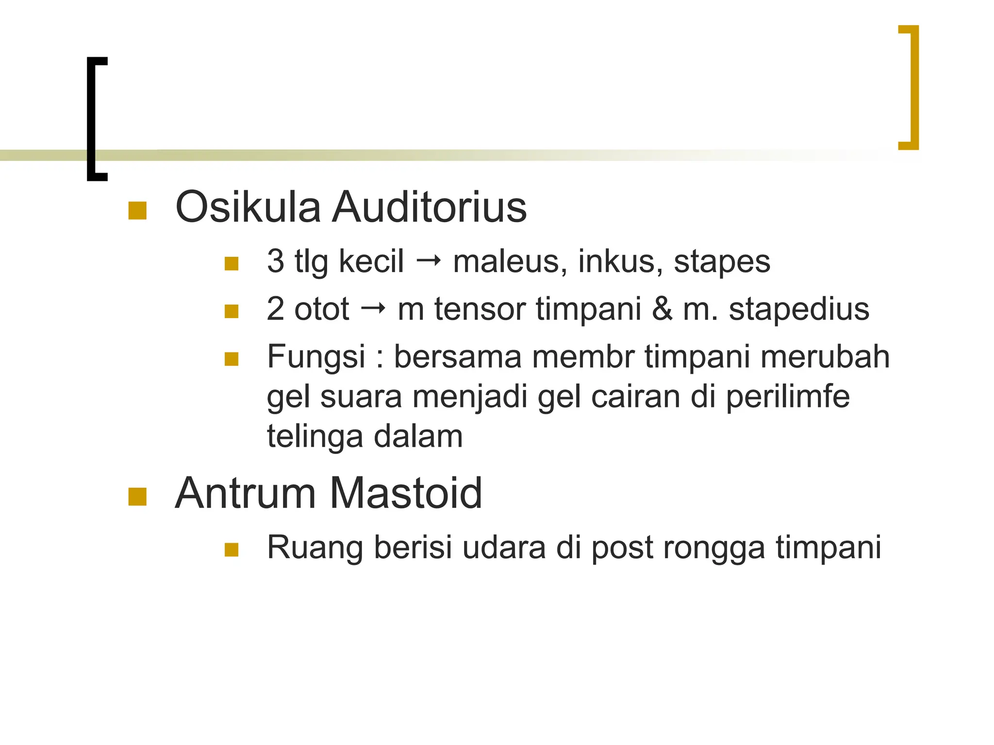 298411631-HISTOLOGI-TELINGA.ppt