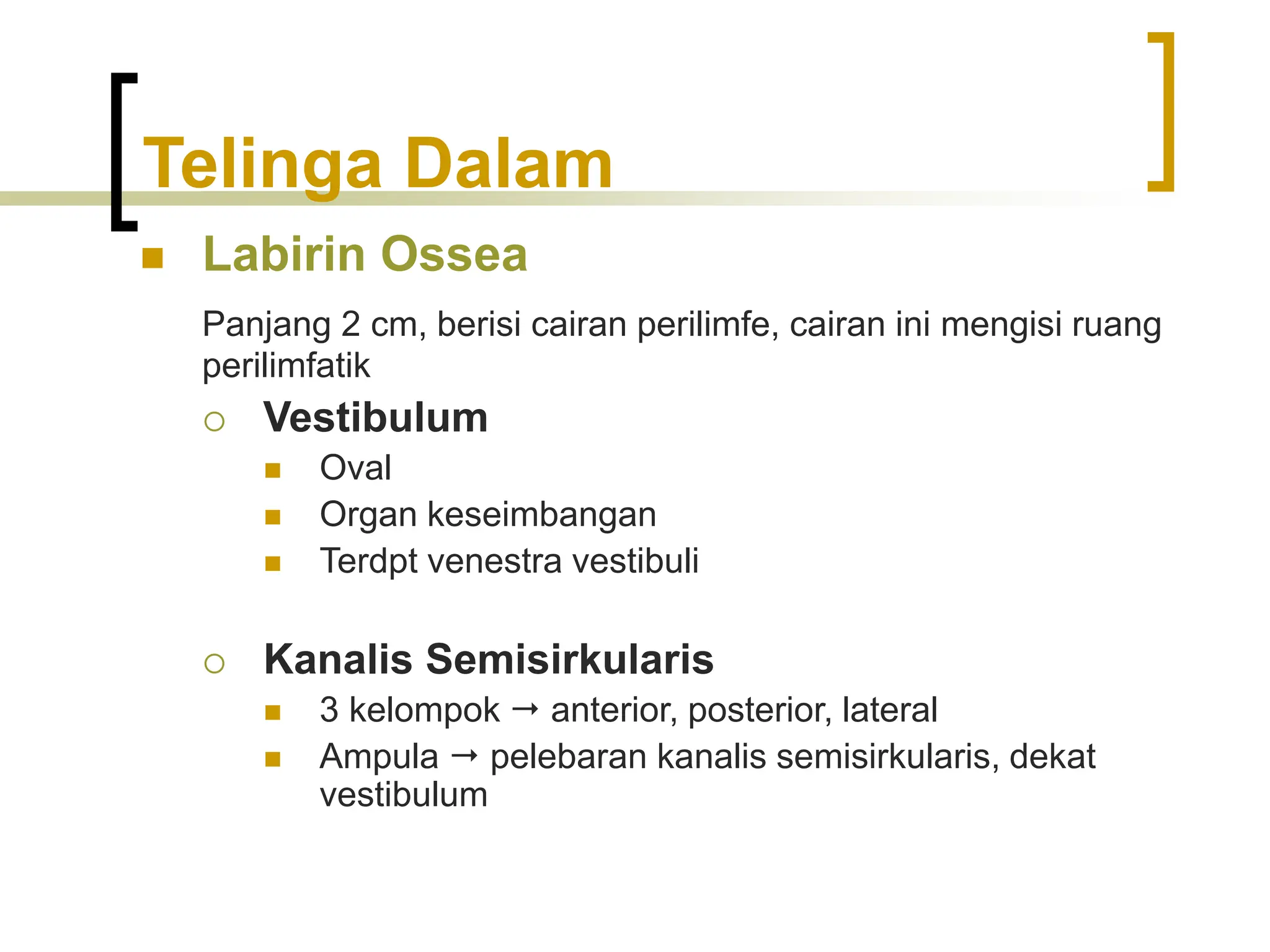 298411631-HISTOLOGI-TELINGA.ppt