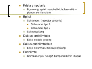 298411631-HISTOLOGI-TELINGA.ppt