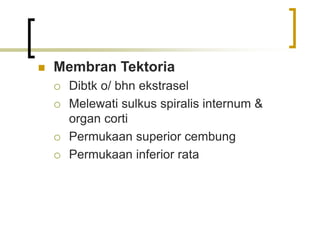 298411631-HISTOLOGI-TELINGA.ppt