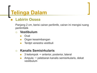 298411631-HISTOLOGI-TELINGA.ppt