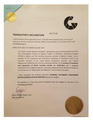 Hector Castillo Certificate | PDF