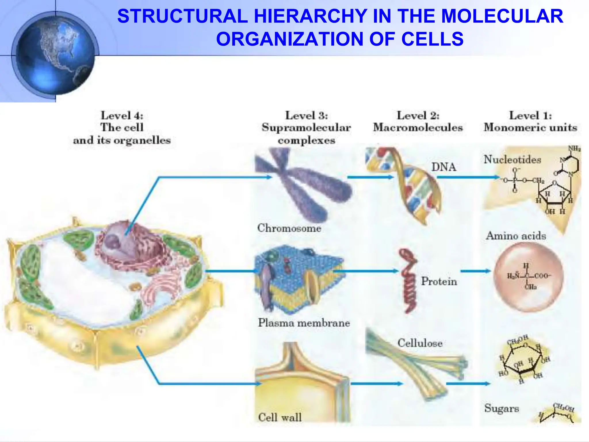 Ppt pelajaran biologi kimia fisika matematika | PPT