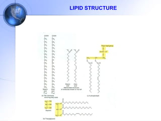 File ppt pelajaran biologi kimia matematika | PPT