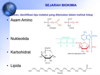 File ppt pelajaran biologi kimia matematika | PPT