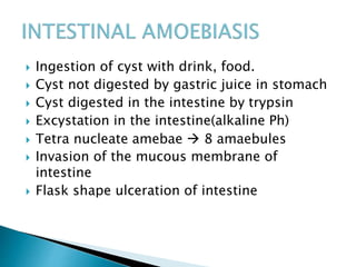 29 BPT INTRODUCTION TO PARASITLOGY E.pptx