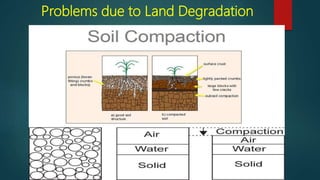 land degradation present problem and solution | PPTX