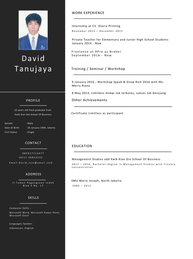 CV David Tanujaya | PDF